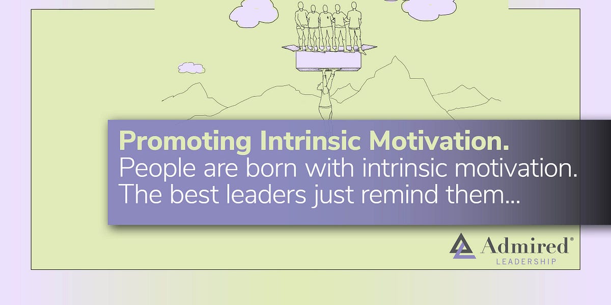 Promoting Intrinsic Motivation