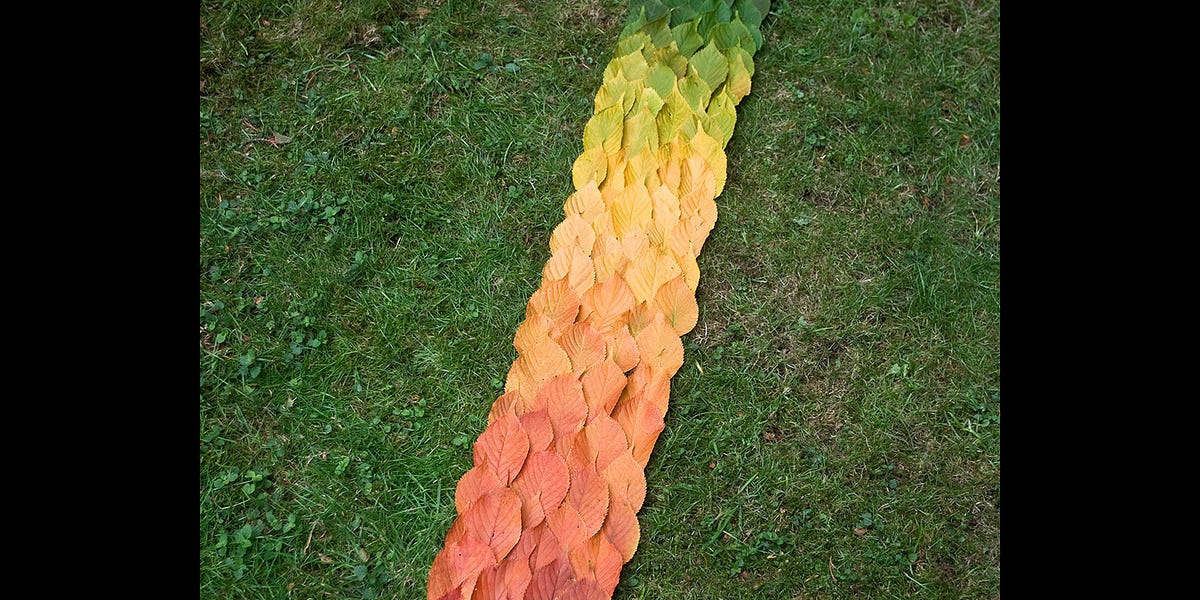 Some Art History... - Richard Shilling's Nature Art