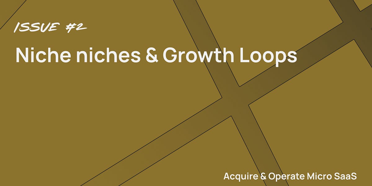 🔃 Issue #2: Niche niches & Growth Loops - by Kjael