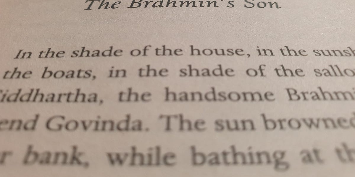 Siddhartha Chapter 1: The Brahmin's Son