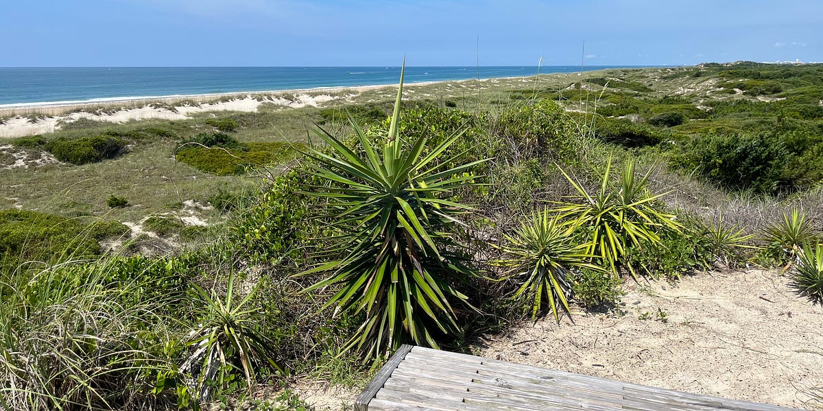 Aspiring To Become A Relaxed Woman... - by Kate Boyette