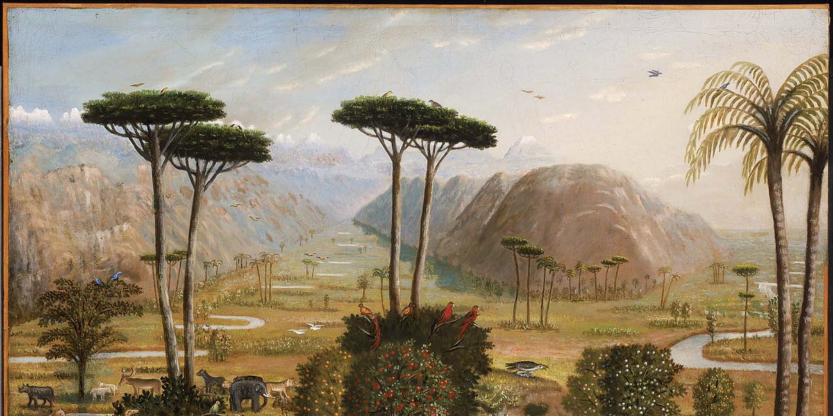 The Knowing Tree - by Martin Shaw