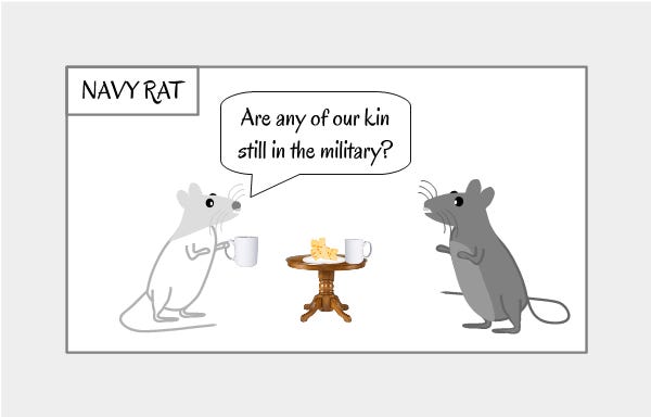 Navy Rat - Rat Says