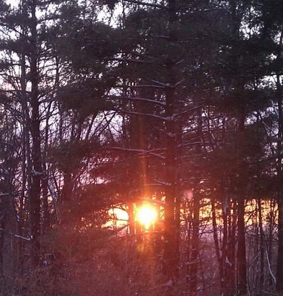 Snow - by Jennifer Hoffman - Jennifer’s Substack