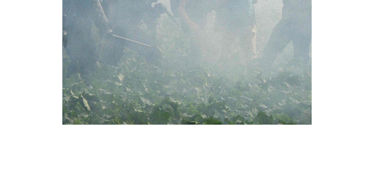 "Eco-Terrorism"? The Minister of the Interior Targets Ecological Struggles