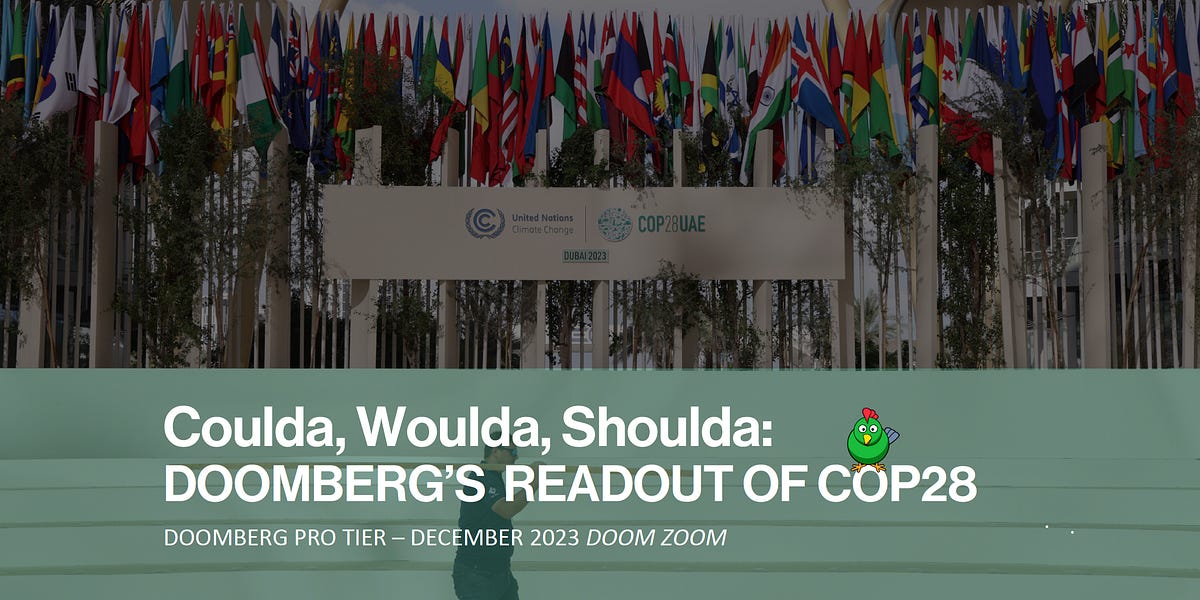 Coulda, Woulda, Shoulda: Doomberg’s Readout of COP28