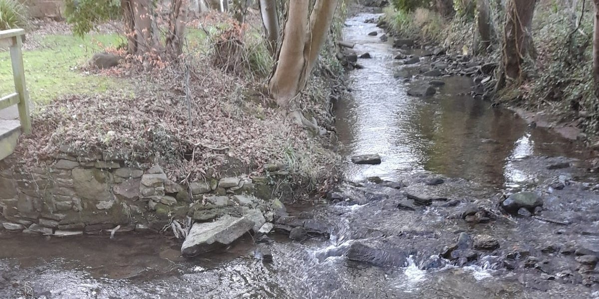 Where the River Sheaf begins