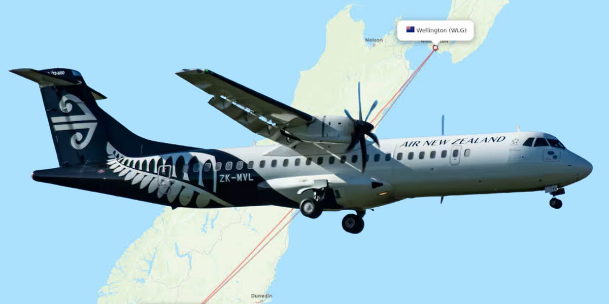 Flight service axed: Why has it happened? What impact will it have?