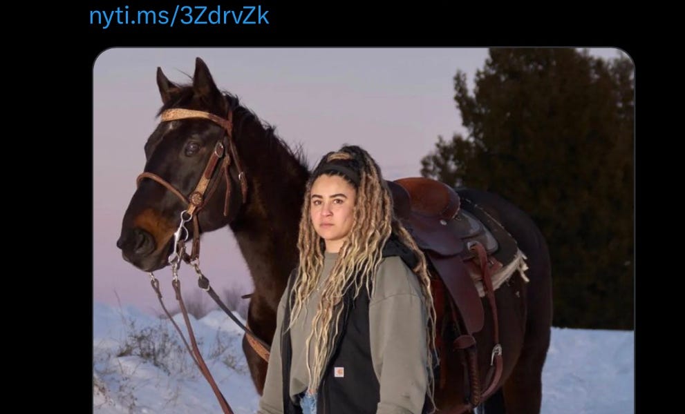 CRT, DEI, ESG (image test) - by Steve Allard