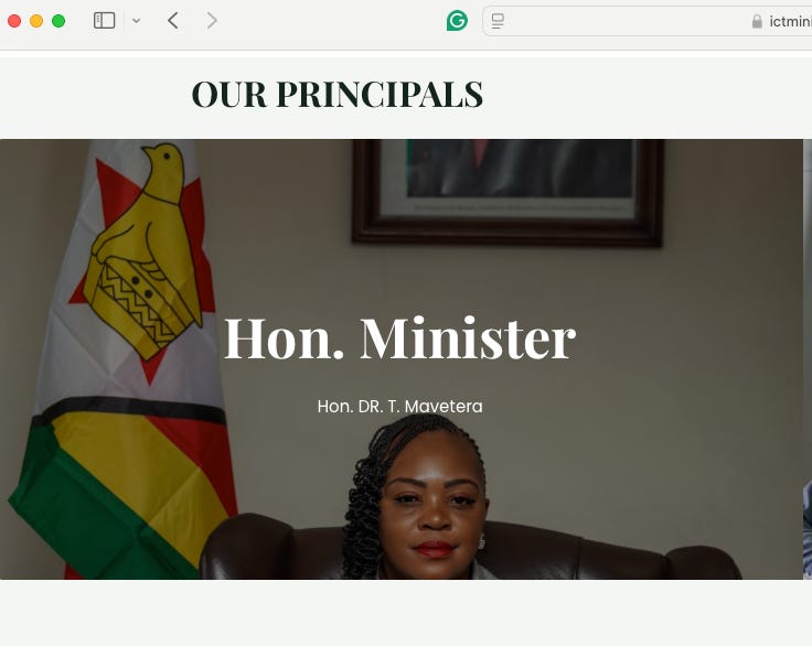 Tatenda Mavetera: The Minister who loves a title but hates the work