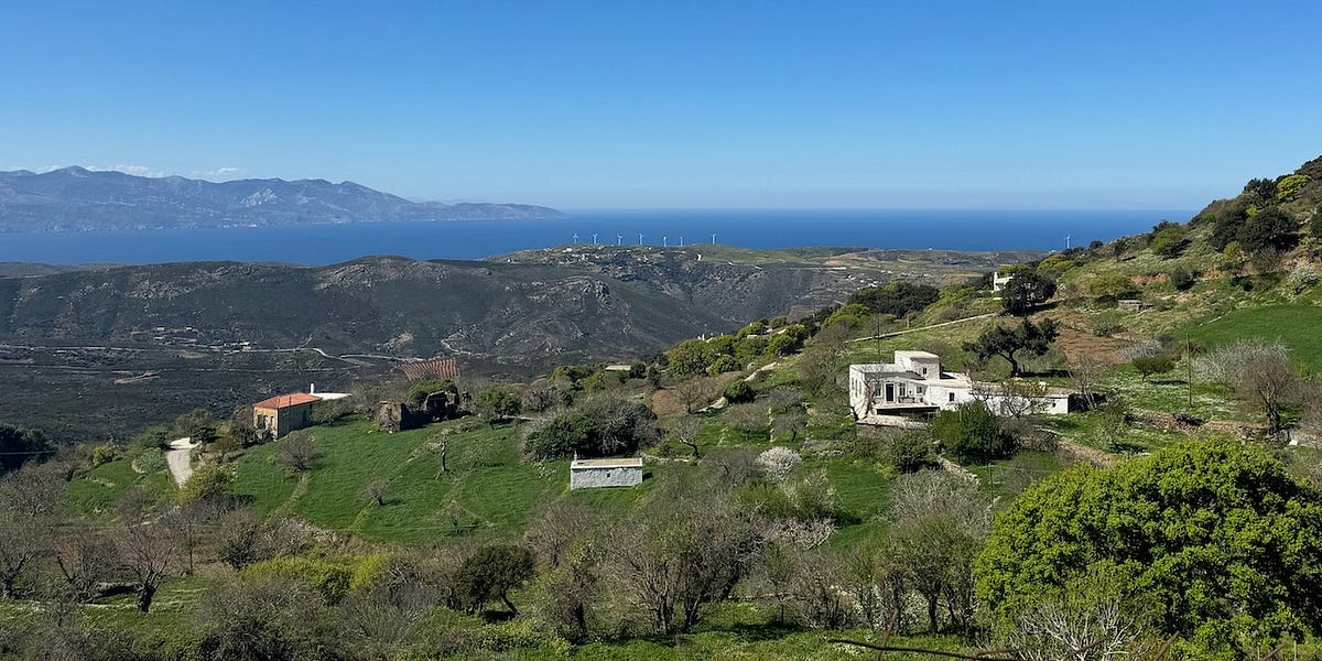 New life - by Judith Degen