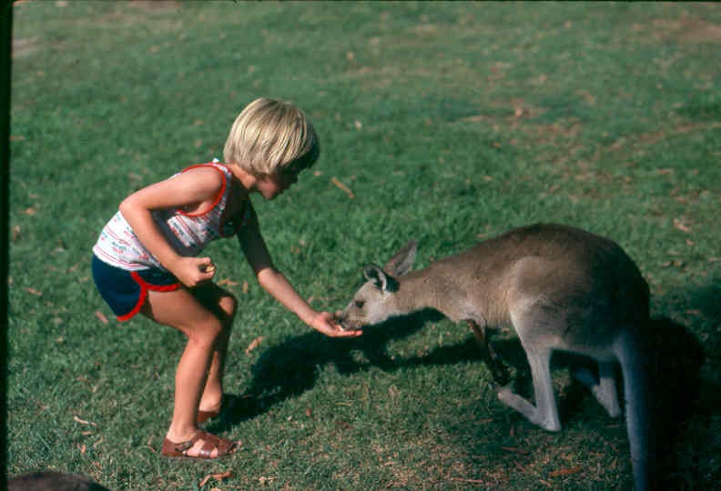 A Time Before Worry - by Doug Stetzer - Roam Chronicles