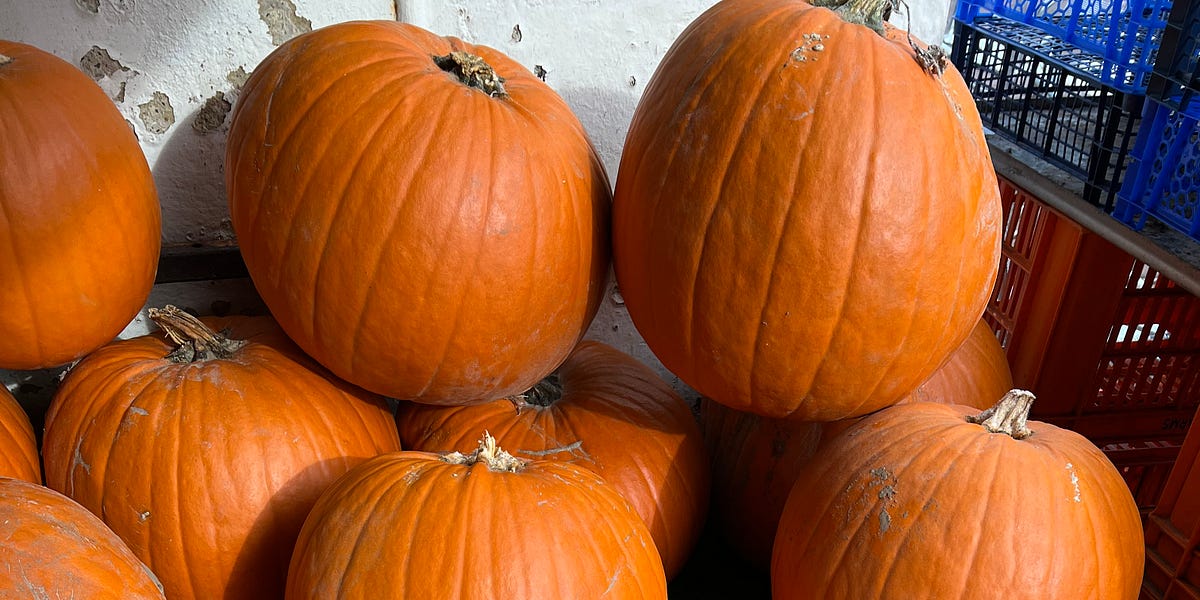 Introducing ‘The Sunday Slice’ - by Rosie Birkett