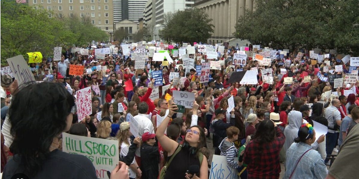 MAGA man: Tennessee gun reform protest was an insurrection