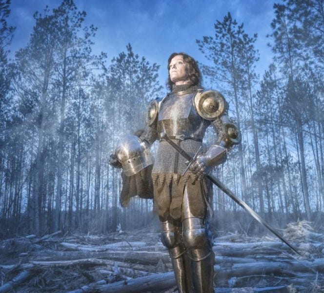 Jess Finley: Sword in Armor - by Joshua Wiest