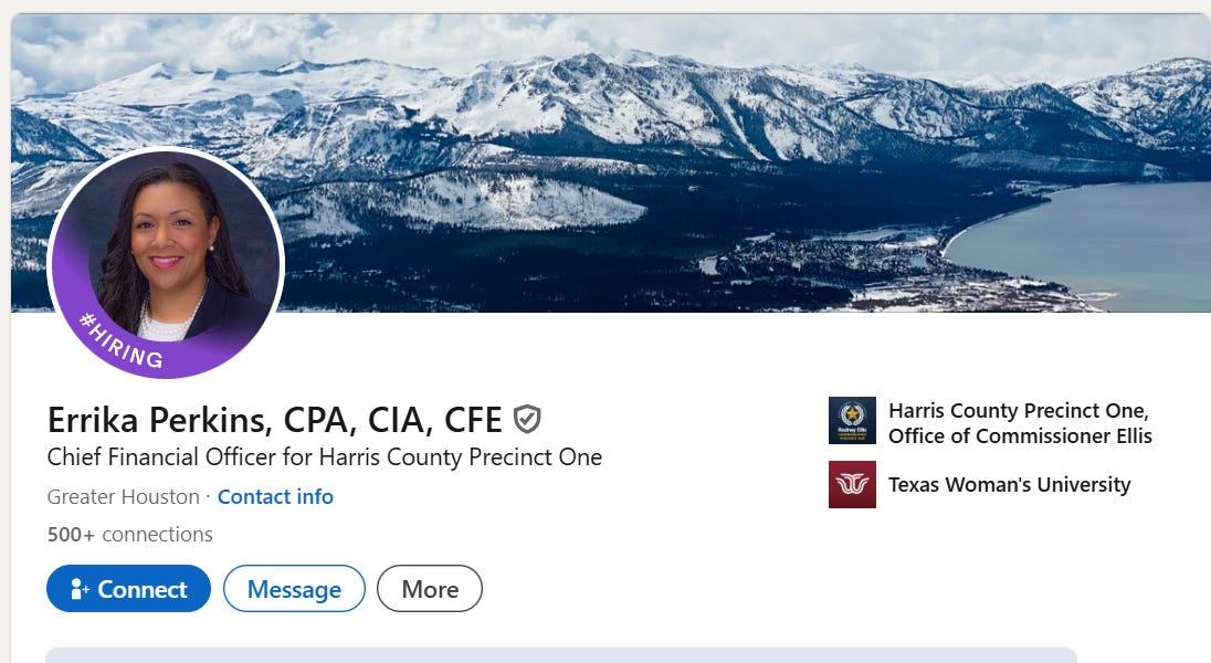 Harris County Officials Vote for In-House Audit of Dema Consulting