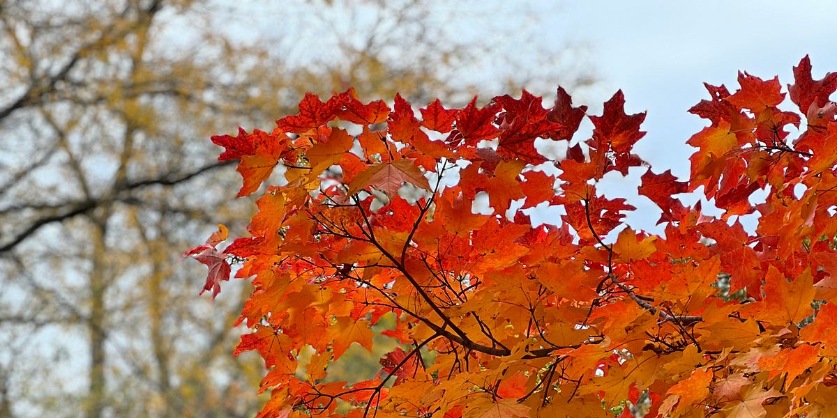 Letting go - by Mary Krawczyk - In Between