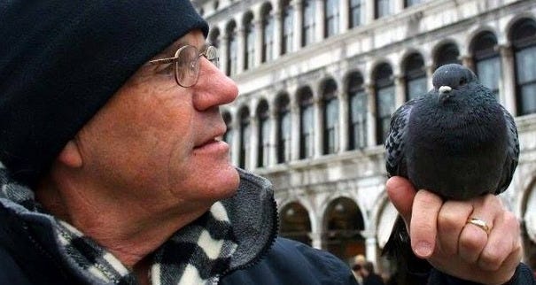 “Wings of Flight” - by Steve Applegate - Steve’s Substack