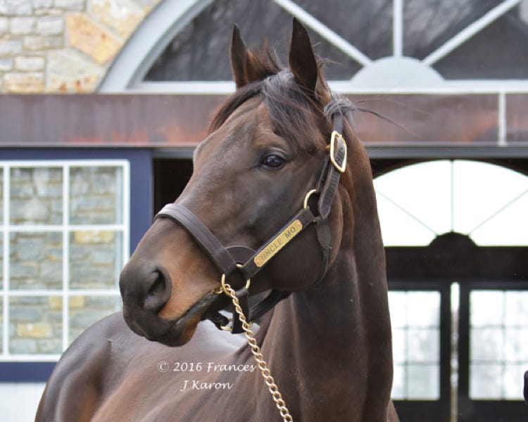 Uncle Mo hits 100 stakes winners