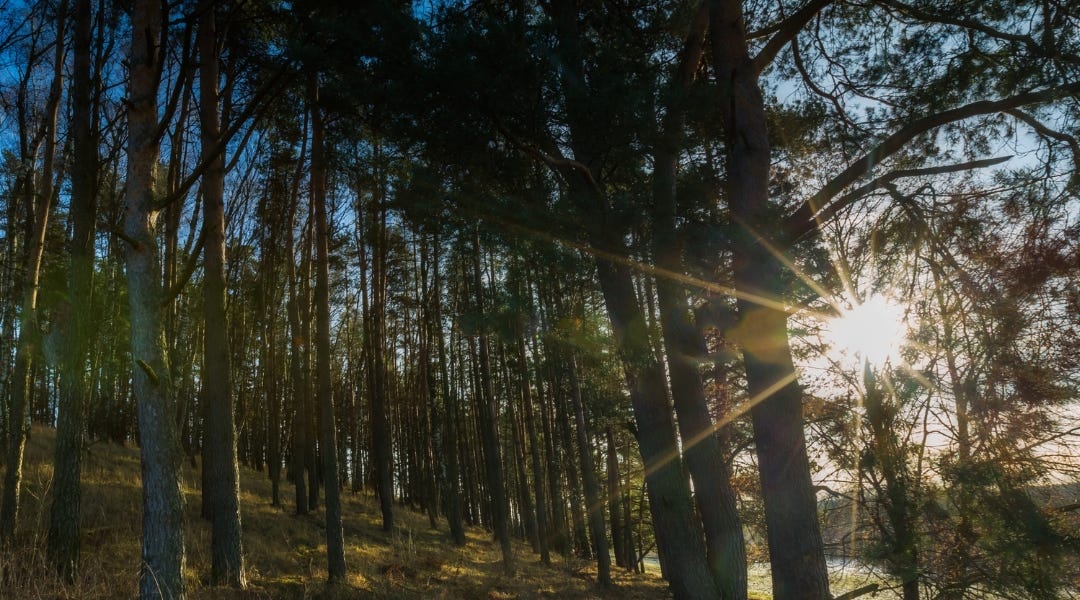 Tender Time - Karina BlackHeart, The Crone Herself