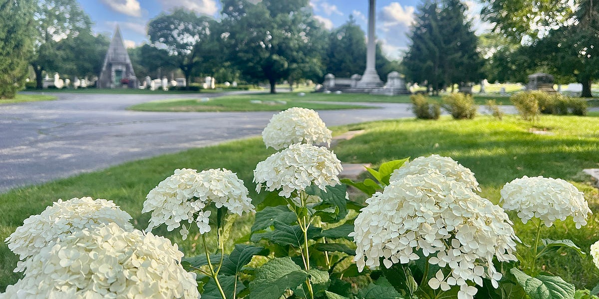 Revisiting the Rural Cemetery Movement