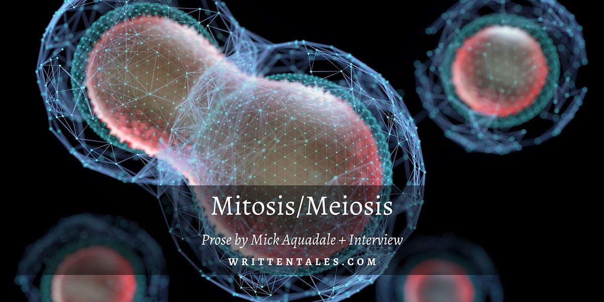 Mitosis/Meiosis - Written Tales Magazine