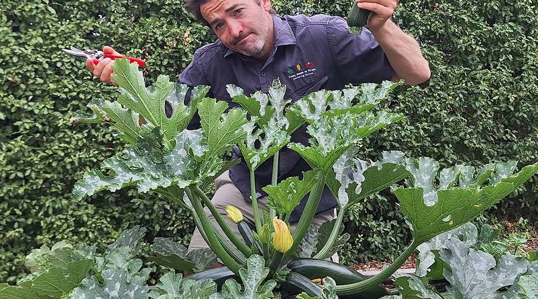 February 2025 Planting Guide and Garden Update