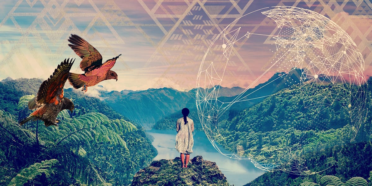 Toha Network Biodiversity Credit System Submission