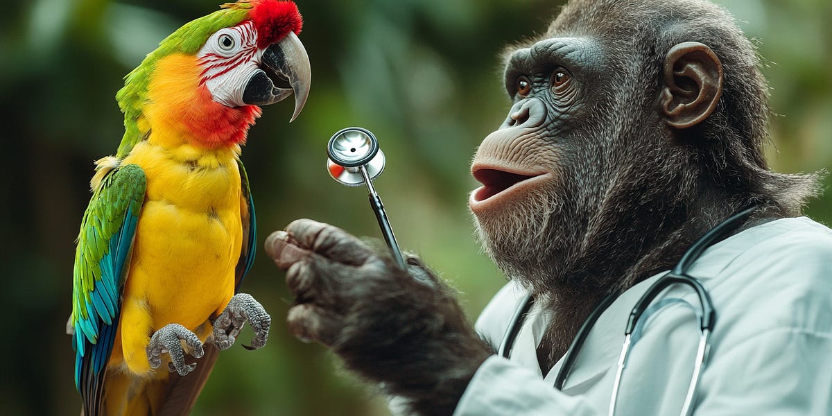 Stochastic Parrots, Argumentative Apes, and Medical Diagnosis