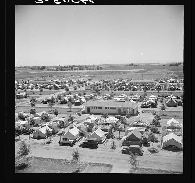 Rose Marie Riddle - by Cynthia Boatright Raleigh