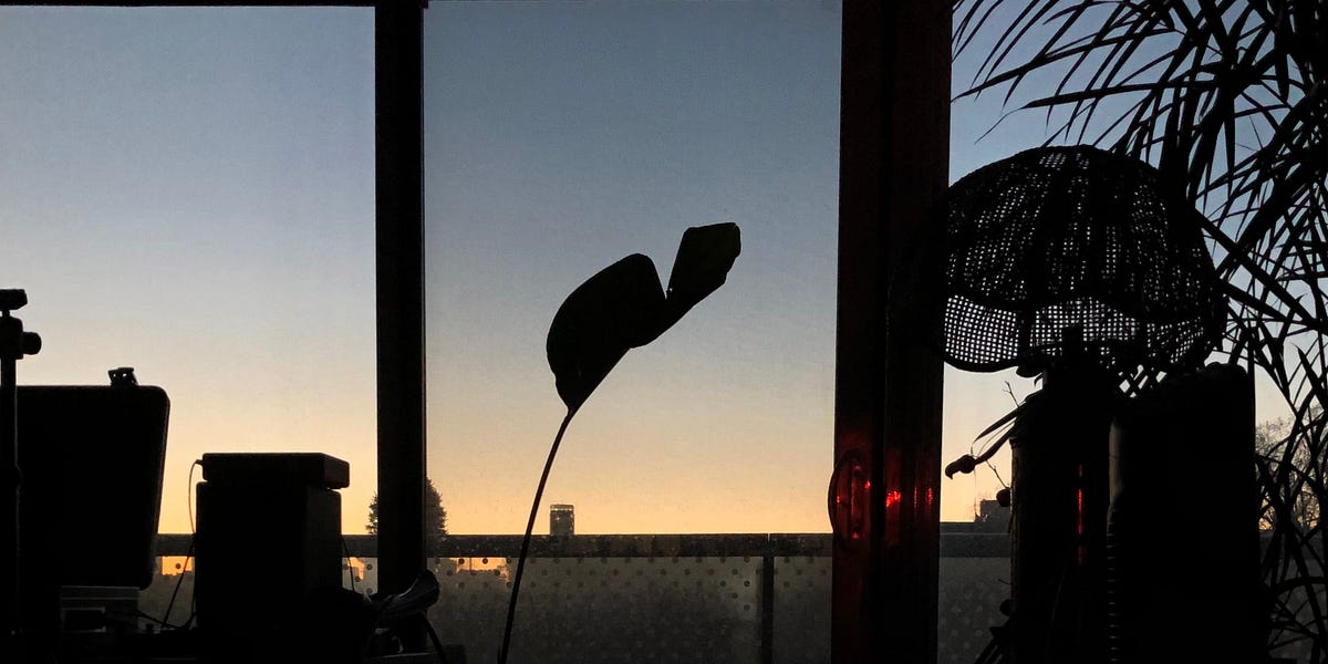 My first picture book deal - by Susan Yoon