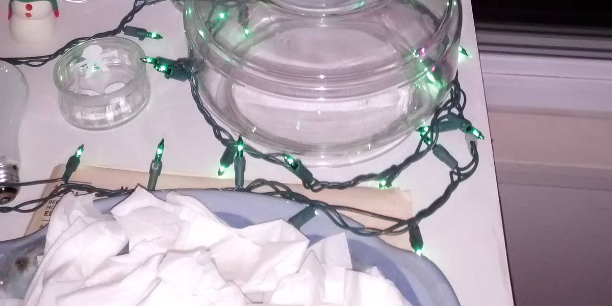 Good job Hippo - by Andy Swanson - aannddyy’s Substack