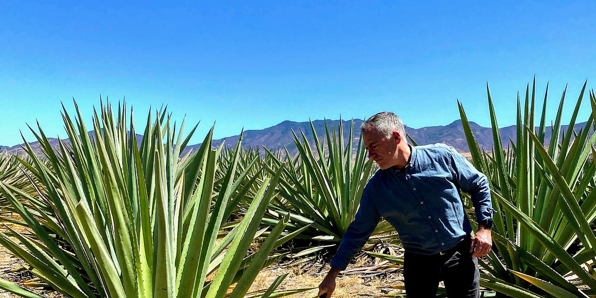 Brilliant Weekend Edition - by Mike Elgan - Machine Society