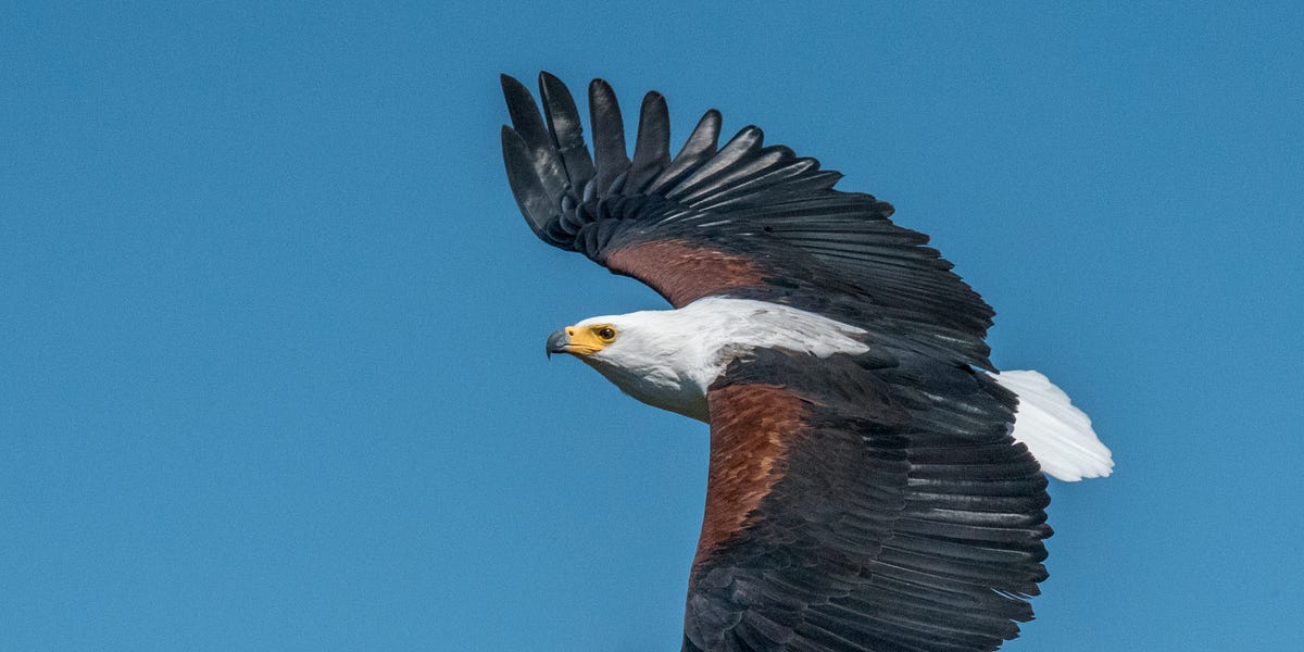 Progress - by KRupley - Rupley’s Substack