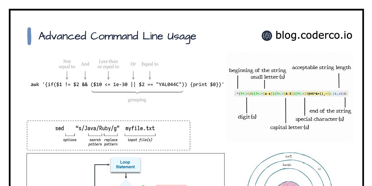 Linux Series EP3: Advanced Command Line Usage and Scripting