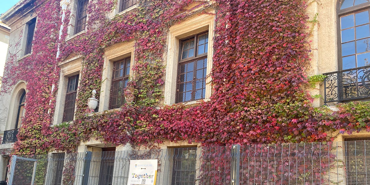 The Jagger Library Fire, Three Years On: Frustration, Opacity, and an ...