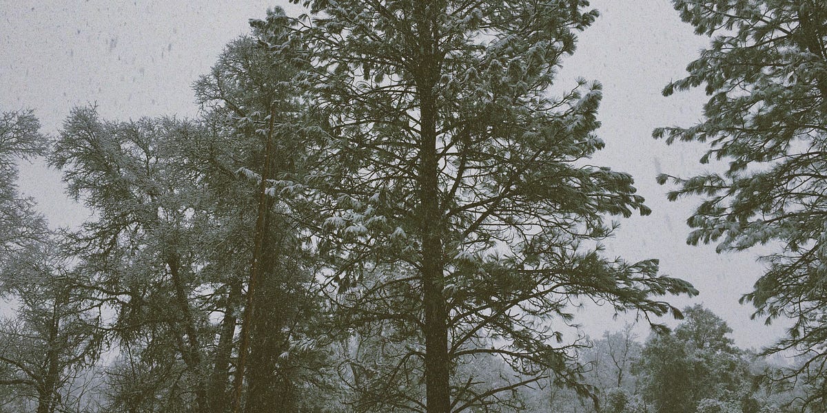 Remembering - by faith zapata - faith's core