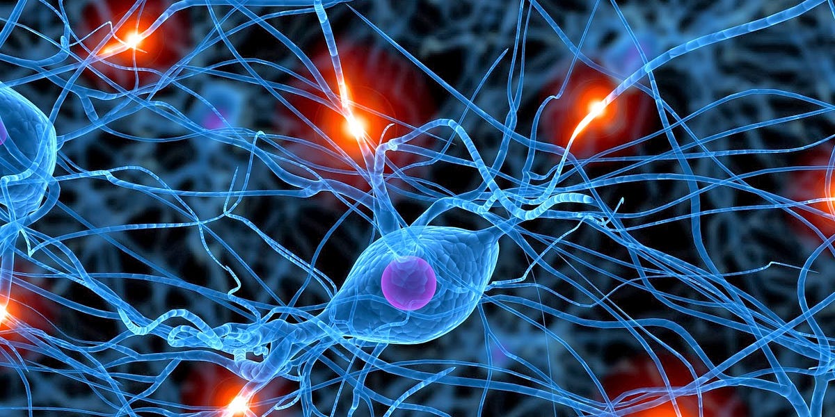 The 100 trillion neural connections. And the Serial killer.