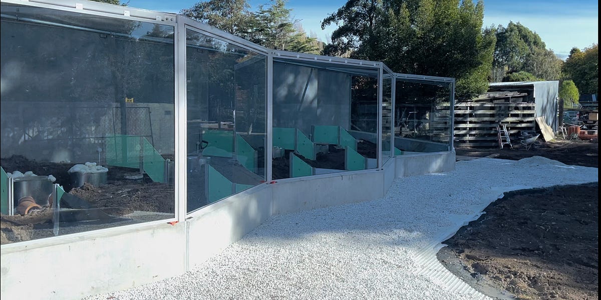 New tuatara home nearing completion - by Logan Savory