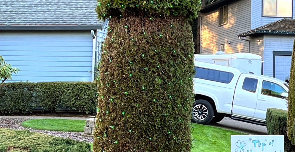 It's A Bird, It's A Plane...It's A Penis-Shaped Shrub?