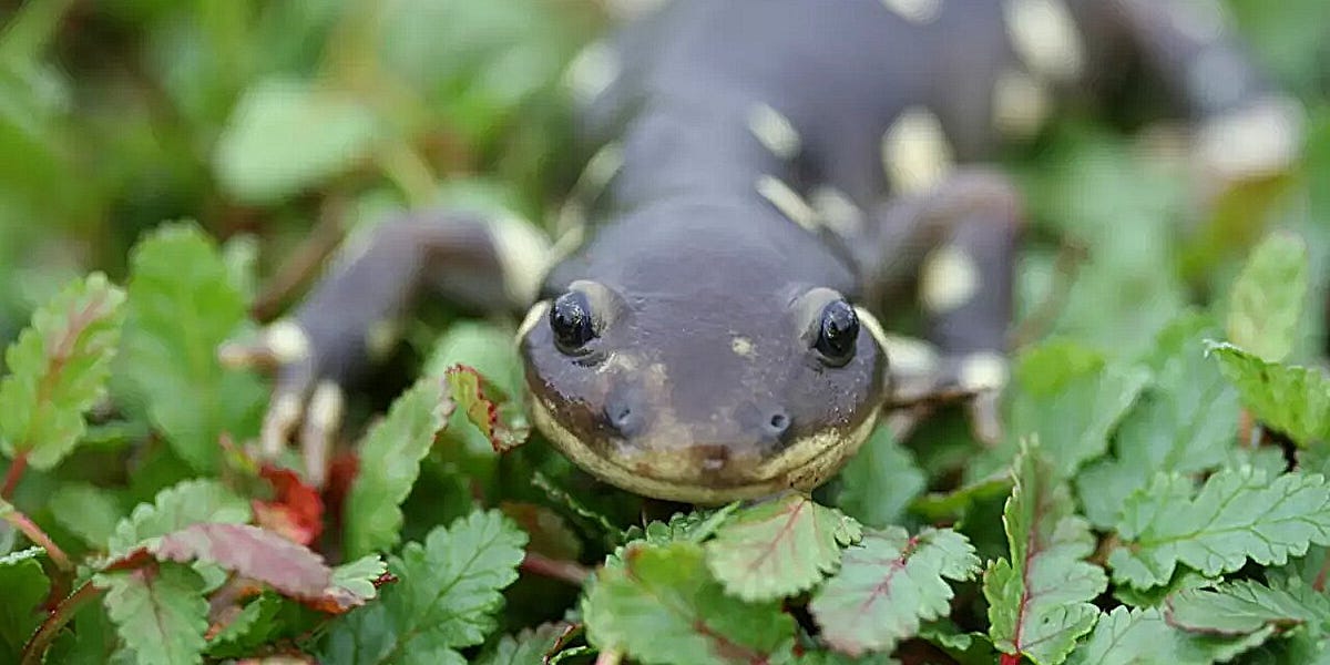 Promises to Keep - by Jason Anthony