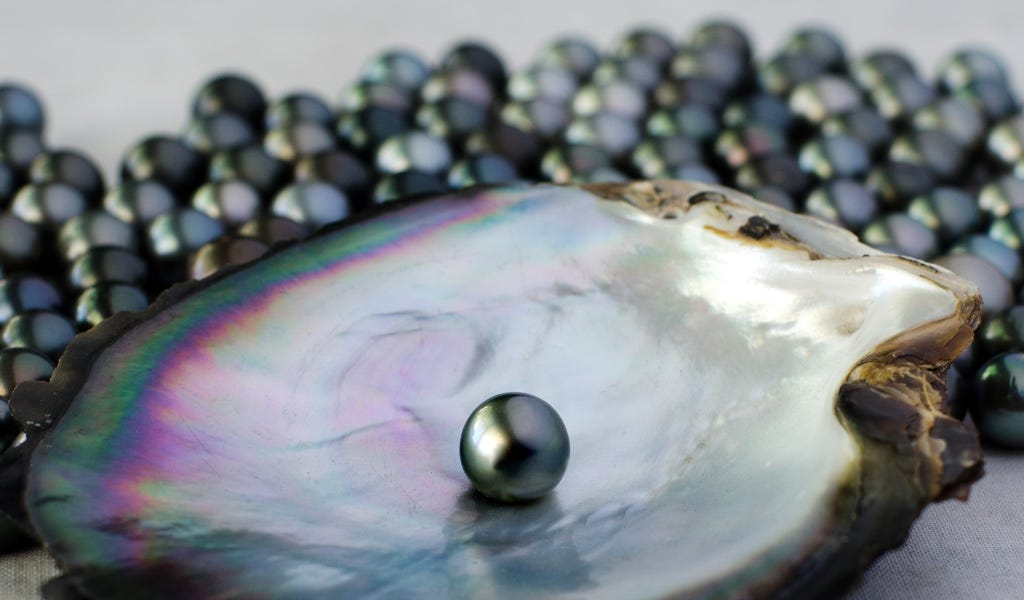 Iridescence: a Color Phenomenon - Color Insider