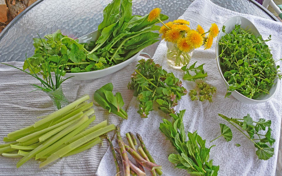 Inhaling Spring - by Annette Naber - Seasons of a Wild Life