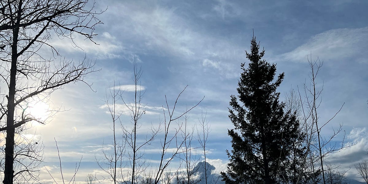 Vol. 5 // SWCC Winter Wrap-Up - Seasonal Updates: SWCC