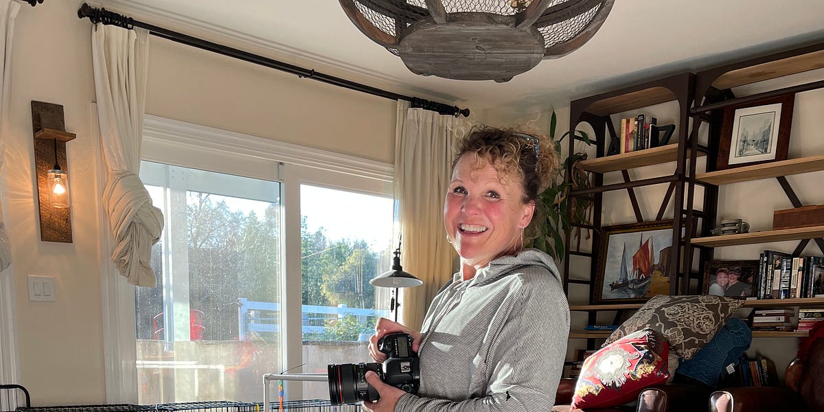 The Elusive Perfect Puppy Picture - by Kerry Nichols