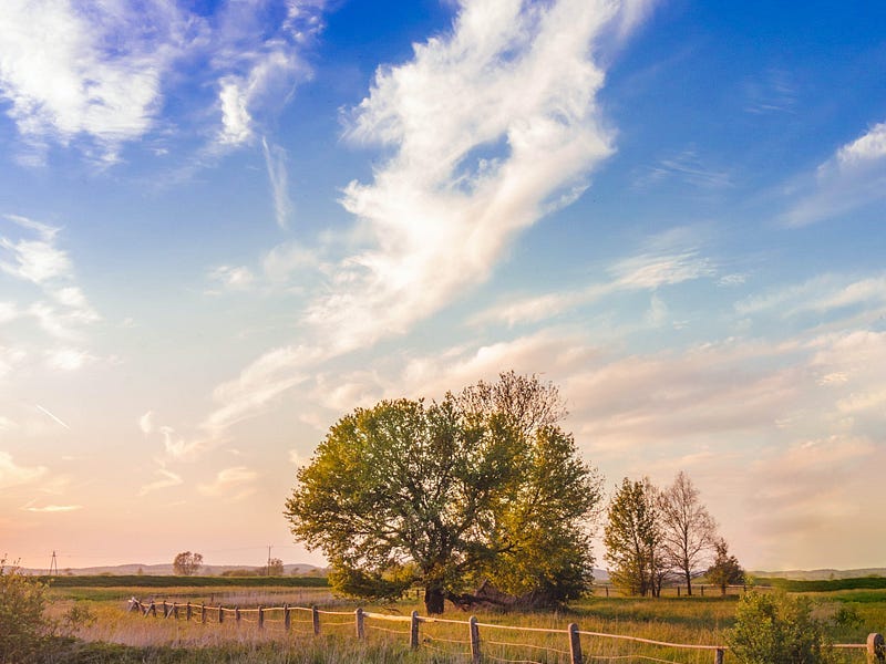 Rural America - by Sarah - SJJR’s Substack