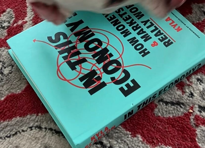 In This Economy Book: The Why and How - by kyla scanlon