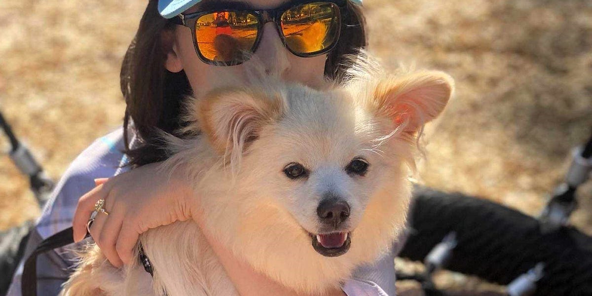 Dusty The Dog - by Jodie Morgan - Yarn Bay