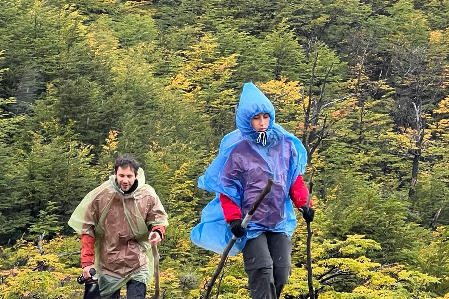 Fuerza bruta - by Claudia Castaño - Claudia’s Substack