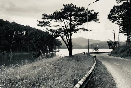 The Loss of Wonder: Rollo May's Final Article